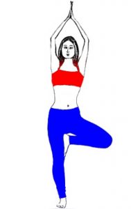Vrikshasana {Tree Pose}-Steps And Benefits - Sarvyoga | Yoga