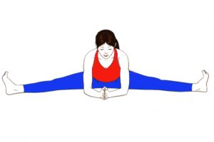 Upavistha Konasana (Wide Angle Seated Forward Bend)-Yoga Pose ...