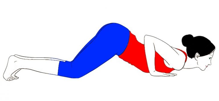 Eight Limbs Pose {Astangasana} Steps & Benefits - Sarvyoga | Yoga